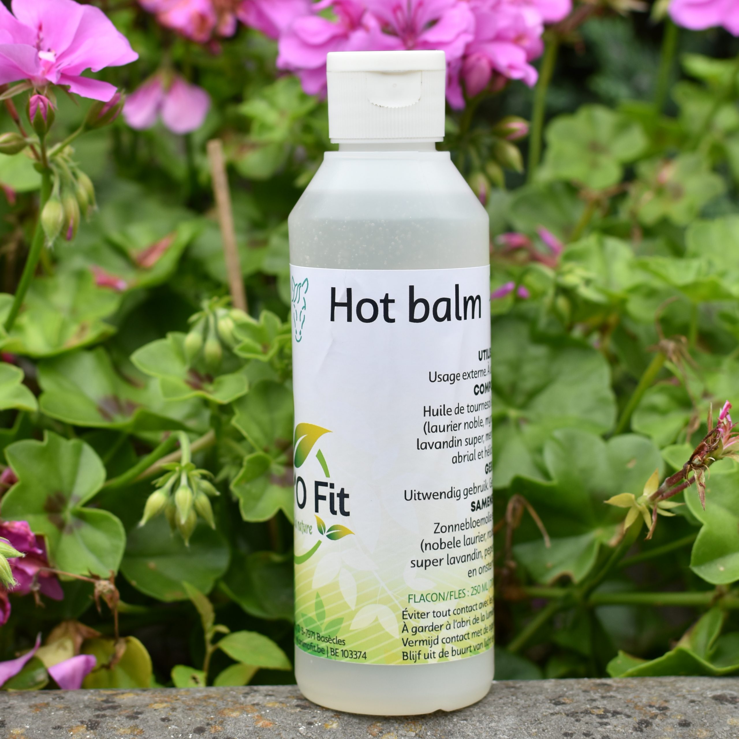 Hot Balm (250 ml) - Anim'O Fit